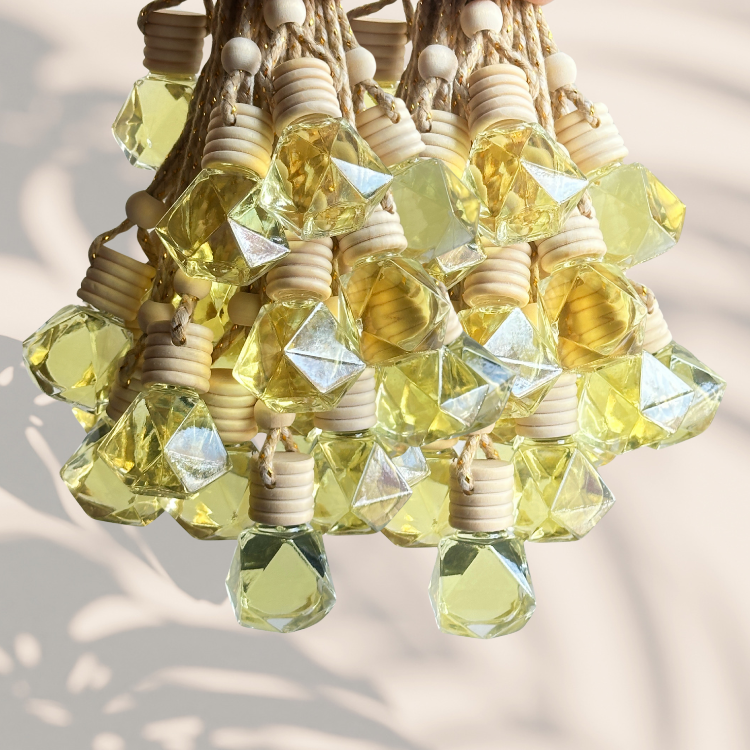 Car Air Freshner Diffusers – Cooking With Tammy